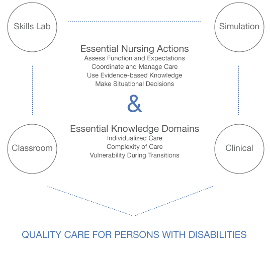 ACE.D Framework