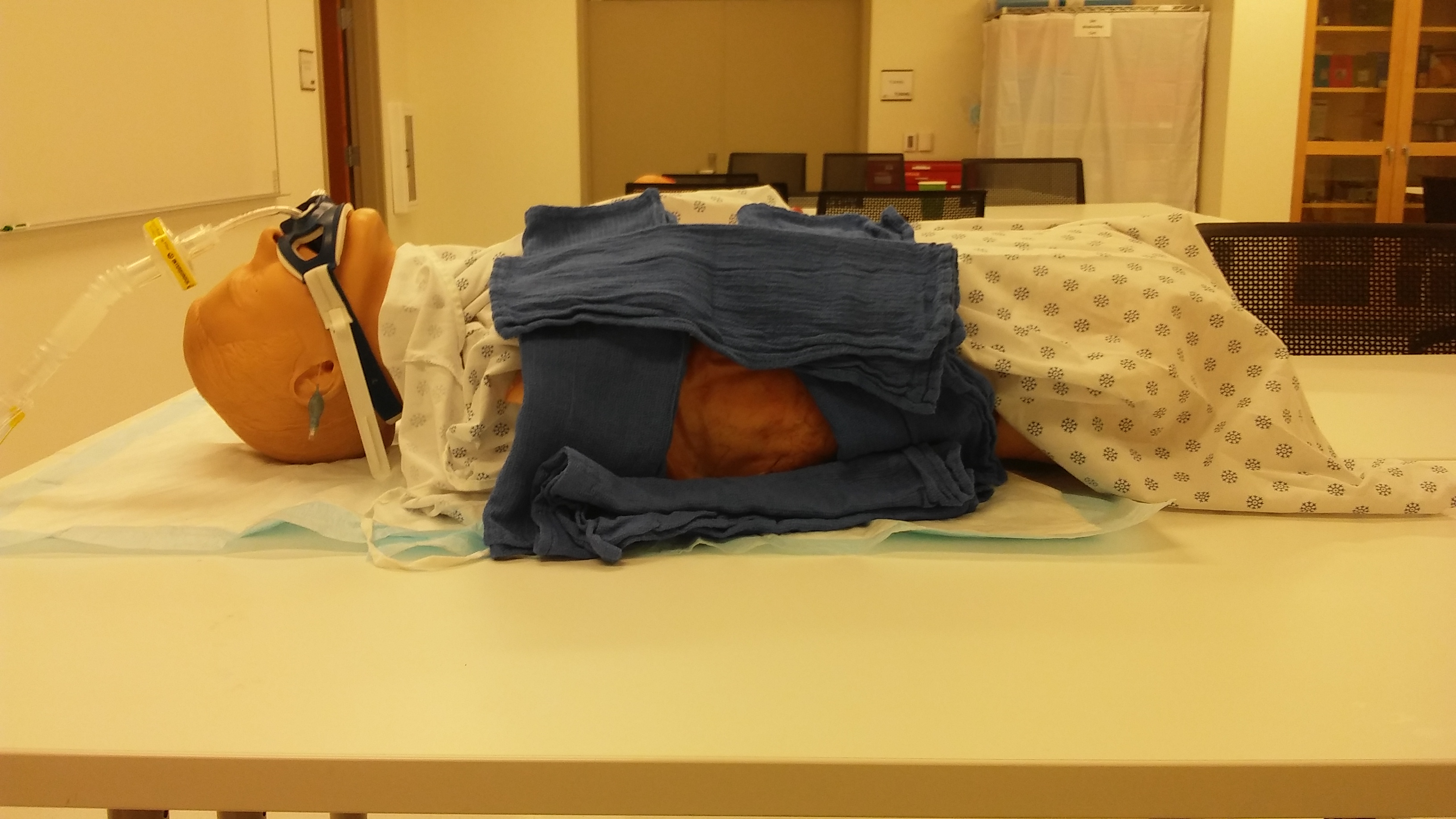 Design and Evaluation of a More Realistic Tube Thoracostomy Task ...