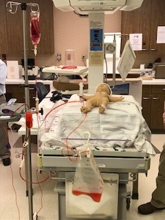 Exchange Transfusion