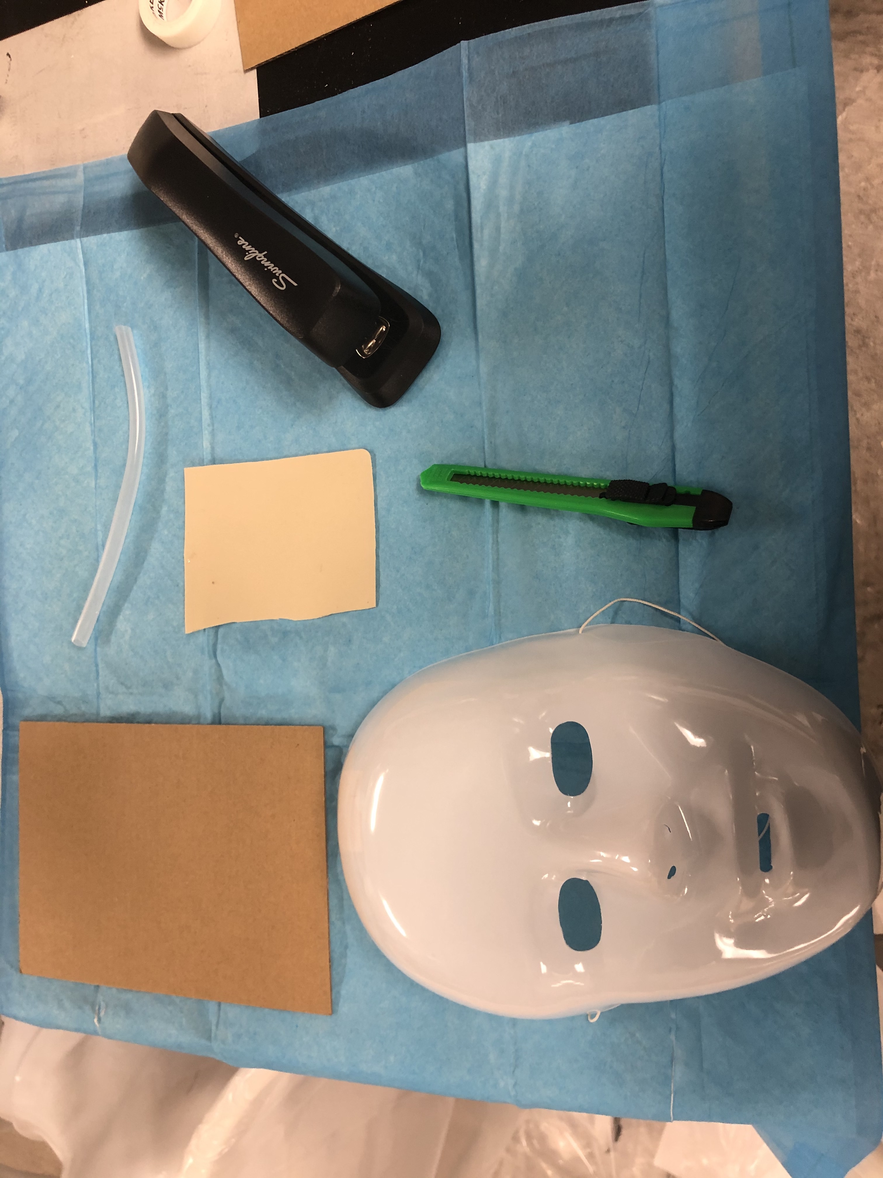 Simple Foley and NG Tube Task Trainer