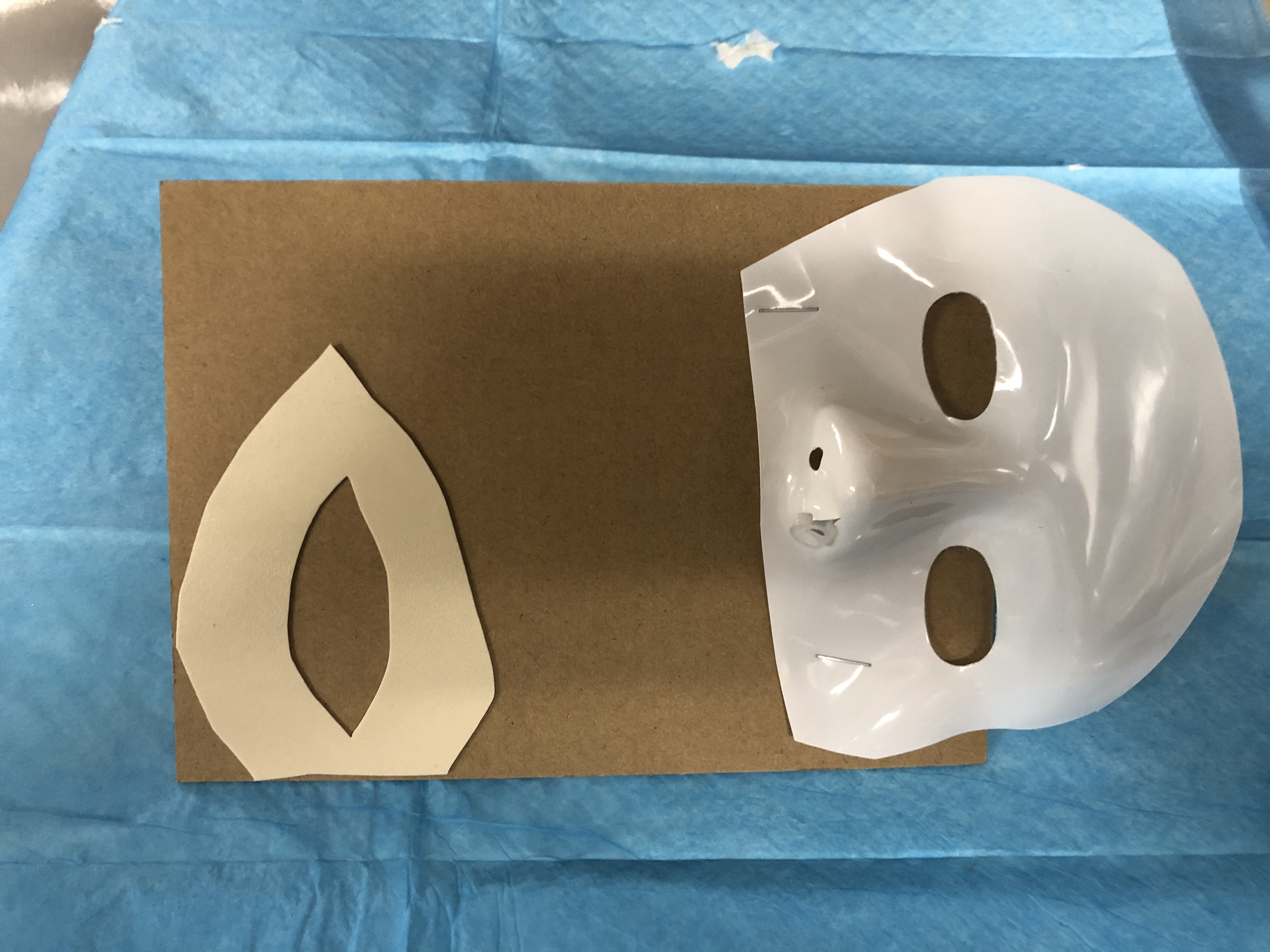 Simple Foley and NG Tube Task Trainer